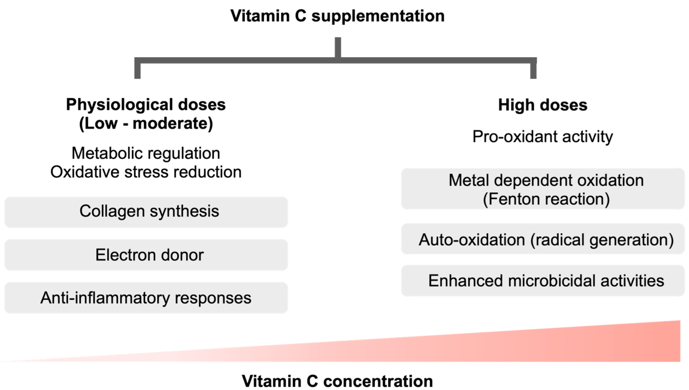 Biomedicines | Free Full-Text | High-Dose Intravenous Ascorbate in ...