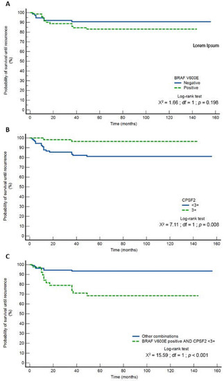 Prognostic Significance of BRAF V600E Mutation and CPSF2 Protein ...