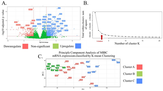 Molecular Subtyping in Muscle-Invasive Bladder Cancer on Predicting ...