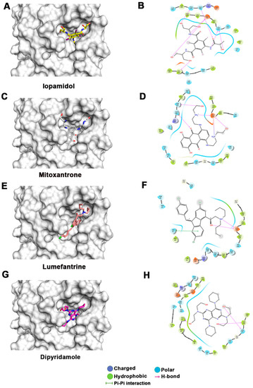 Potential Inhibitors of SARS-CoV-2 Main Protease (Mpro) Identified from ...