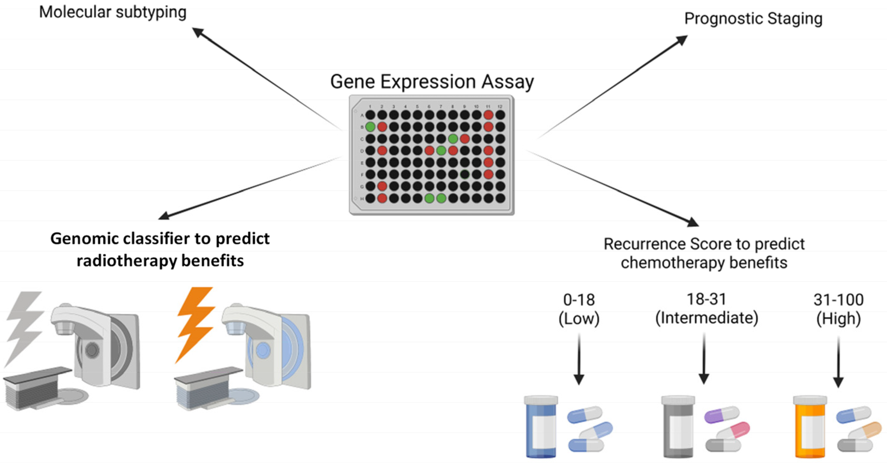 Biomedicines Free Full Text The Prognostic And Predictive Value Of