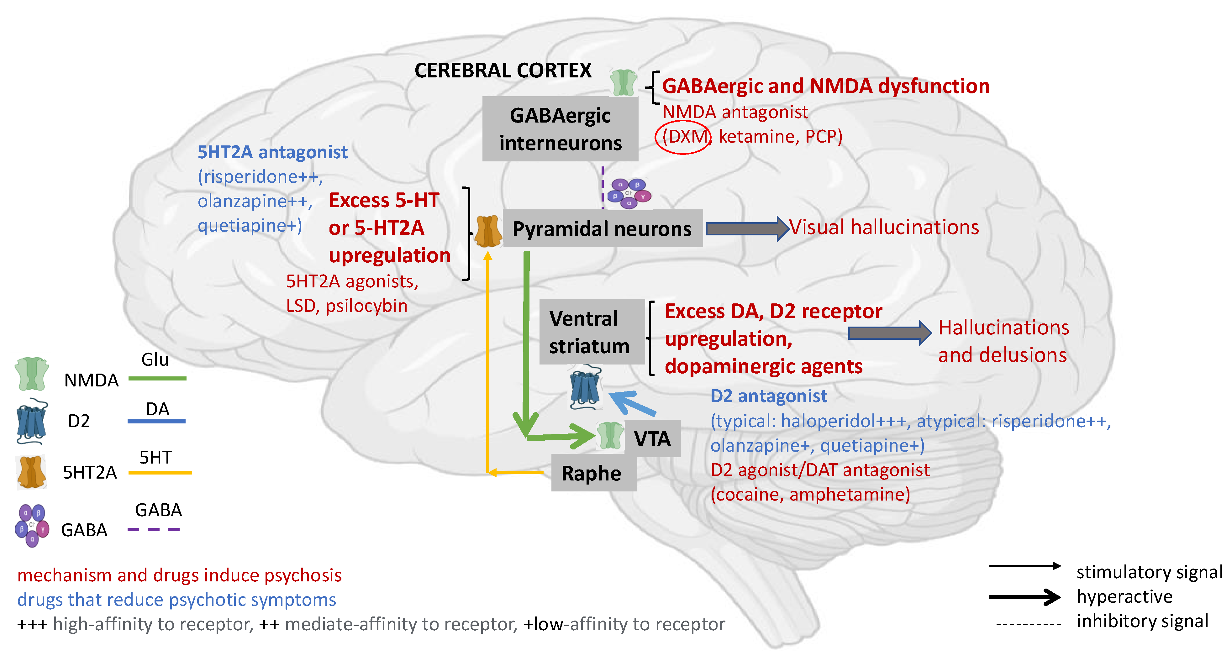 Biomedicines | Free Full-Text | Antipsychotic Drugs Efficacy in ... Biomedicines | Free Full-Text | Antipsychotic Drugs Efficacy in ...