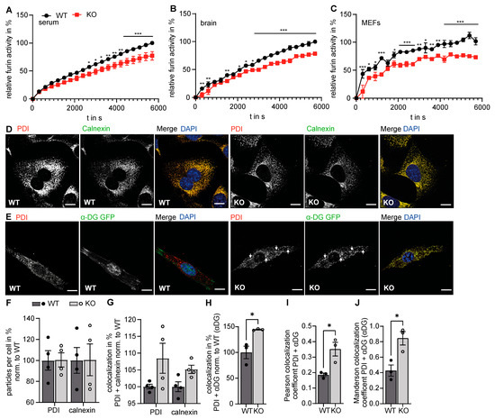 Impact of Hypermannosylation on the Structure and Functionality of the ...