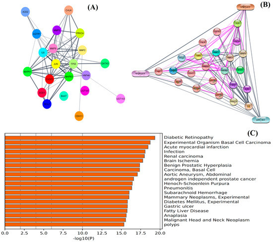 Multi-Mechanistic and Therapeutic Exploration of Nephroprotective ...