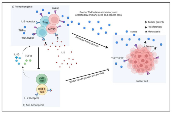 The Immunosuppressive Effect of TNFR2 Expression in the Colorectal ...