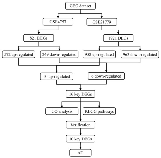 The Inflammatory Gene PYCARD of the Entorhinal Cortex as an Early ...