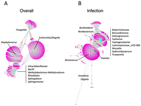 Biofilms on Indwelling Artificial Urinary Sphincter Devices Harbor ...