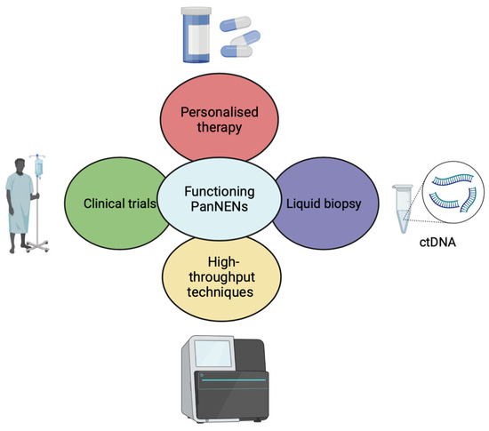 Biomedicines | Free Full-Text | An Insight on Functioning Pancreatic Neuroendocrine Neoplasms