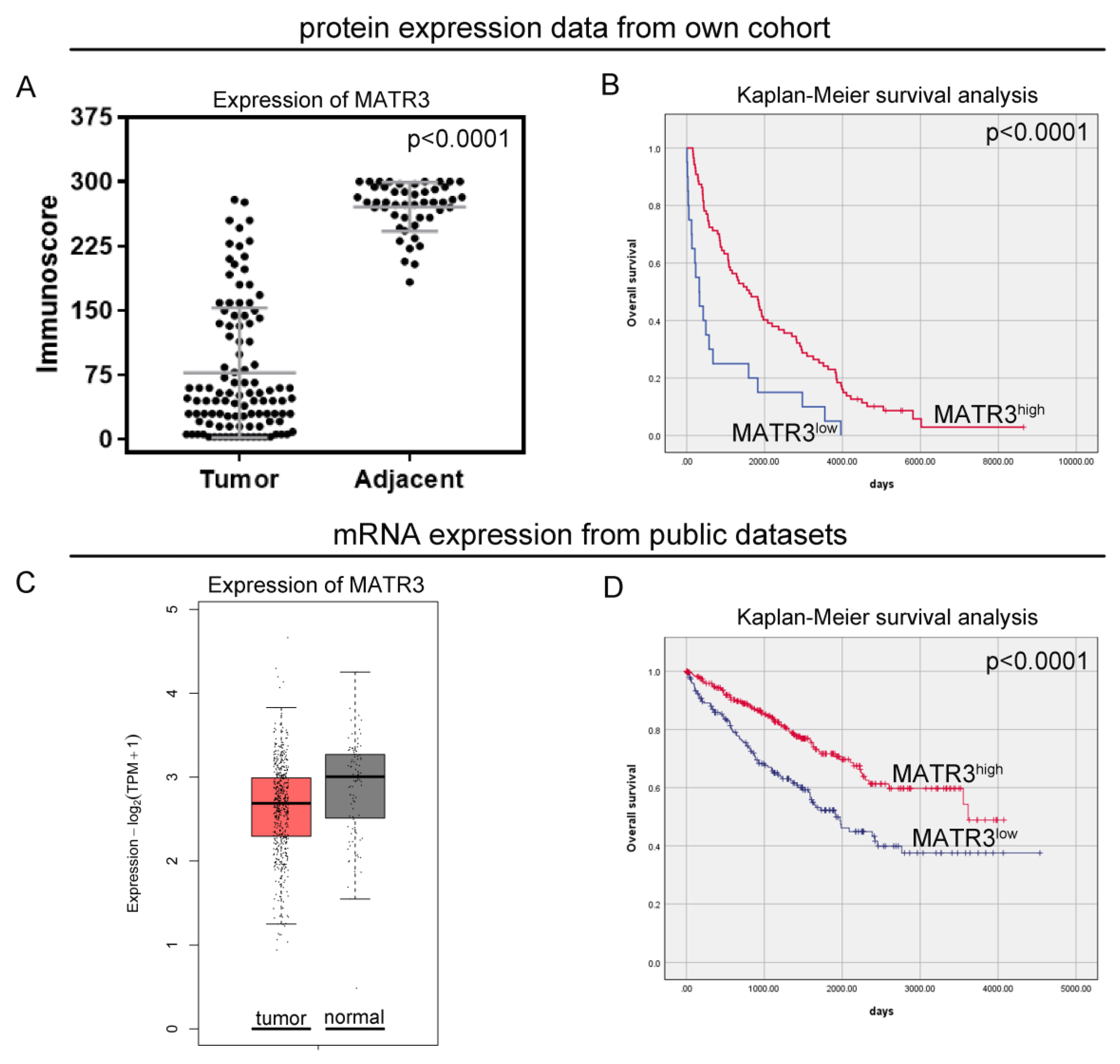 Low Expression of MATR3 Is Associated with Poor Survival in Clear Cell ...