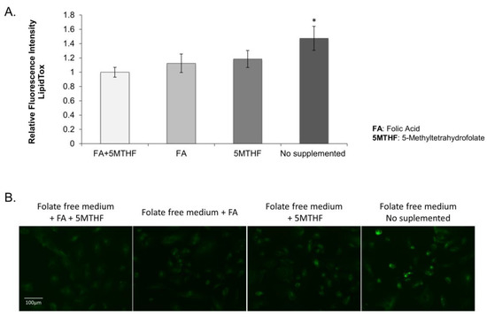 Impaired Function of Solute Carrier Family 19 Leads to Low Folate ...