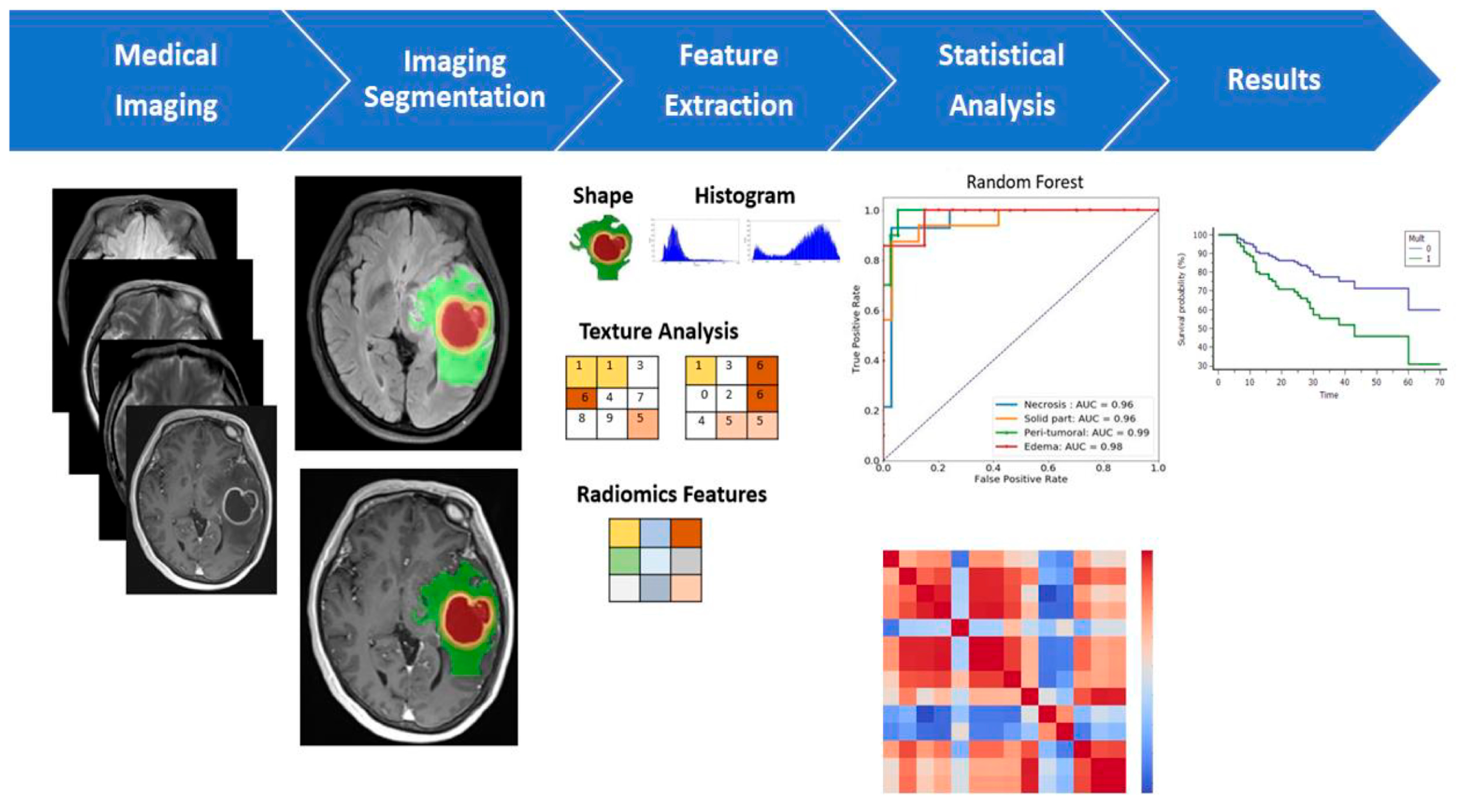 Biomedicines Free Full Text Magnetic Resonance Imaging Of Primary Adult Brain Tumors State