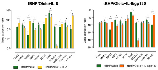 Biomedicines | Free Full-Text | gp130 Activates Mitochondrial Dynamics ...
