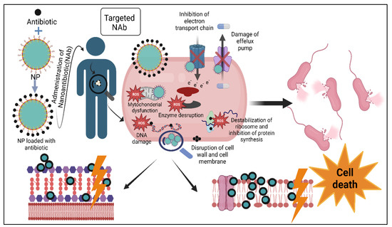 Nanotechnology as a Promising Approach to Combat Multidrug Resistant Bacteria: A Comprehensive ...
