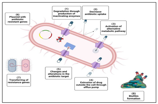 Nanotechnology as a Promising Approach to Combat Multidrug Resistant ...