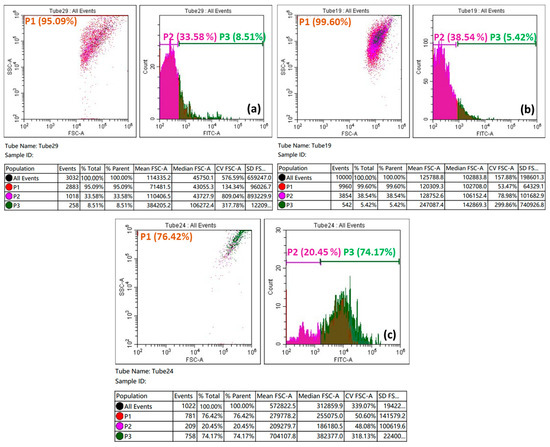 Cerium Oxide/Graphene Oxide Hybrid: Synthesis, Characterization, and Evaluation of Anticancer ...