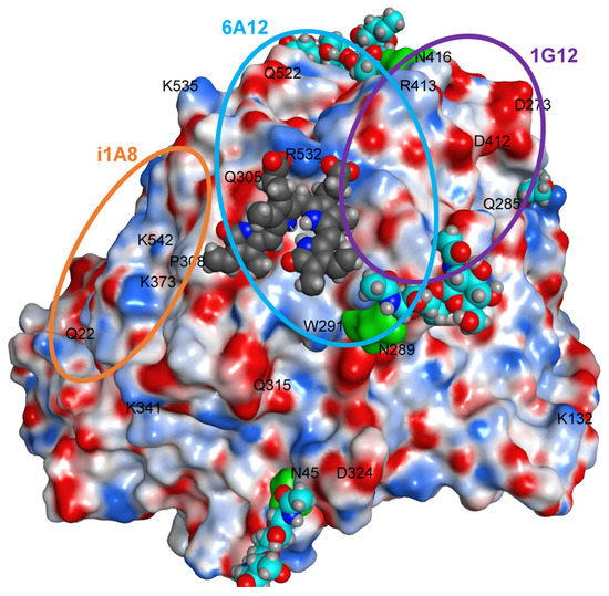 Blood ACE Phenotyping for Personalized Medicine: Revelation of Patients ...