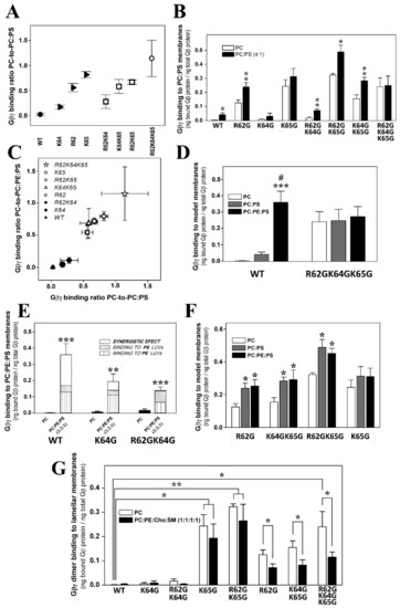 Biomedicines | Free Full-Text | Structural Basis of the Interaction of ...