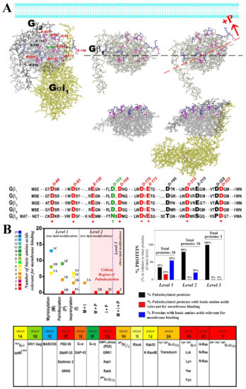 Biomedicines | Free Full-Text | Structural Basis of the Interaction of ...