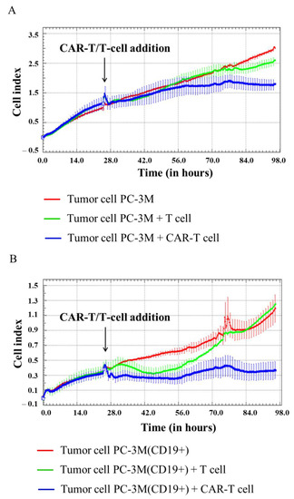 Evaluation of CAR-T Cells’ Cytotoxicity against Modified Solid Tumor ...