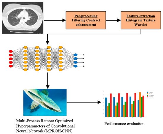 Multi-Process Remora Enhanced Hyperparameters of Convolutional Neural Network for Lung Cancer ...
