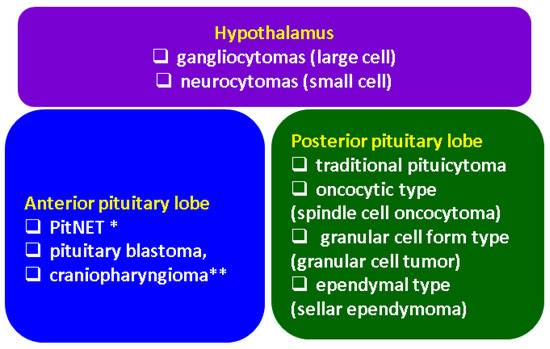 Pituitary Apoplexy in Patients with Pituitary Neuroendocrine Tumors ...