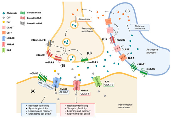 New GABA-Targeting Therapies For The Treatment Of Seizures, 55% OFF