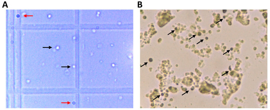 A Simplified and Effective Approach for the Isolation of Small ...