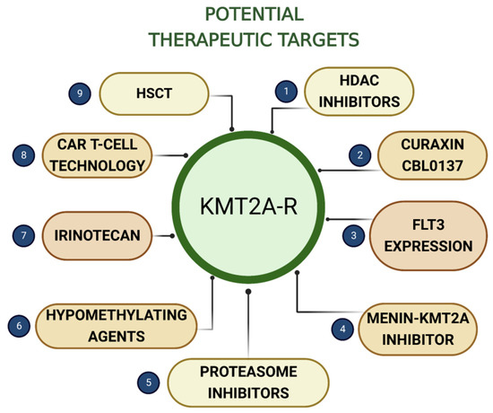 Updates in KMT2A Gene Rearrangement in Pediatric Acute Lymphoblastic ...