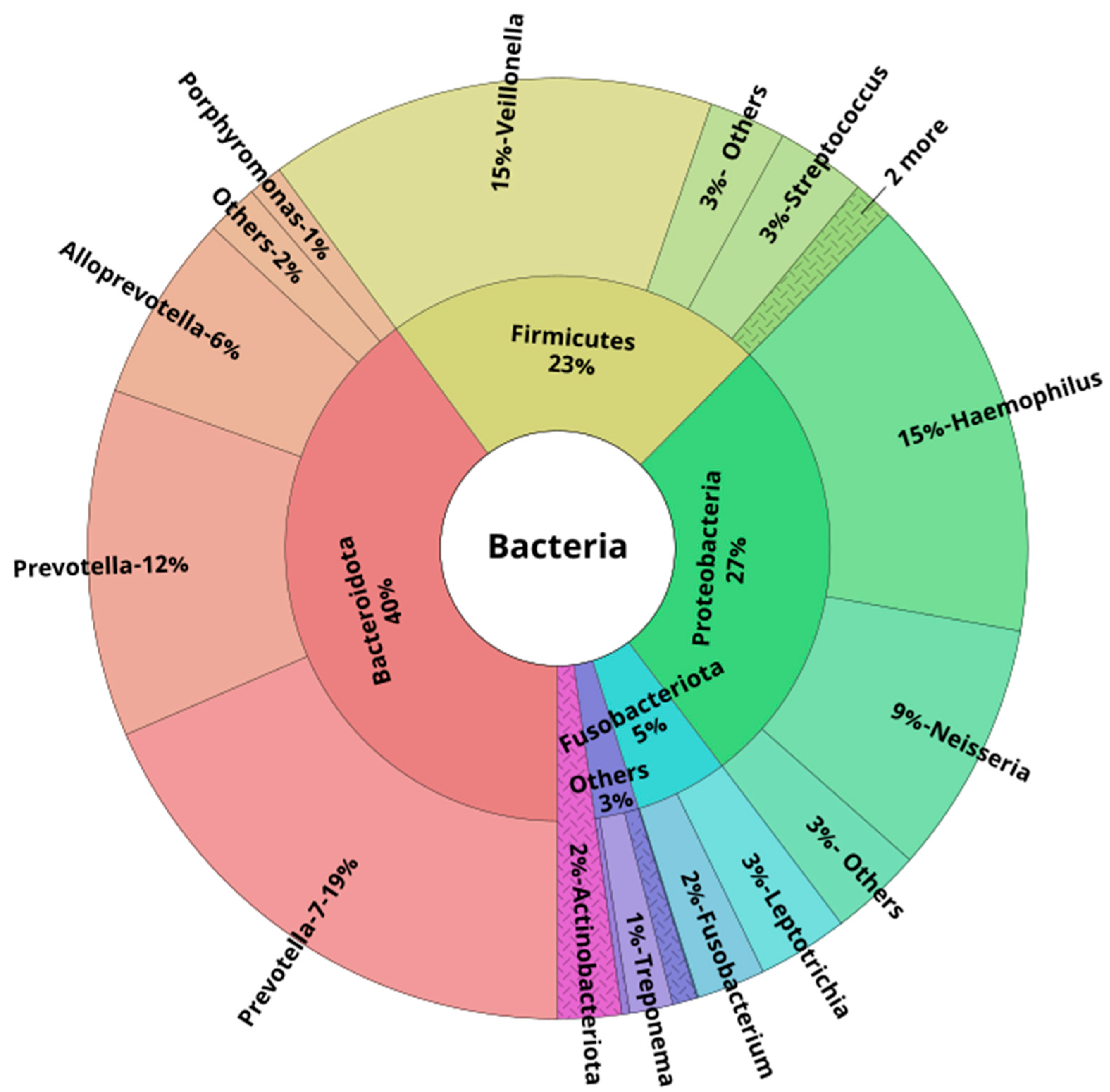 Characterization of the Lower Airways and Oral Microbiota in Healthy ...