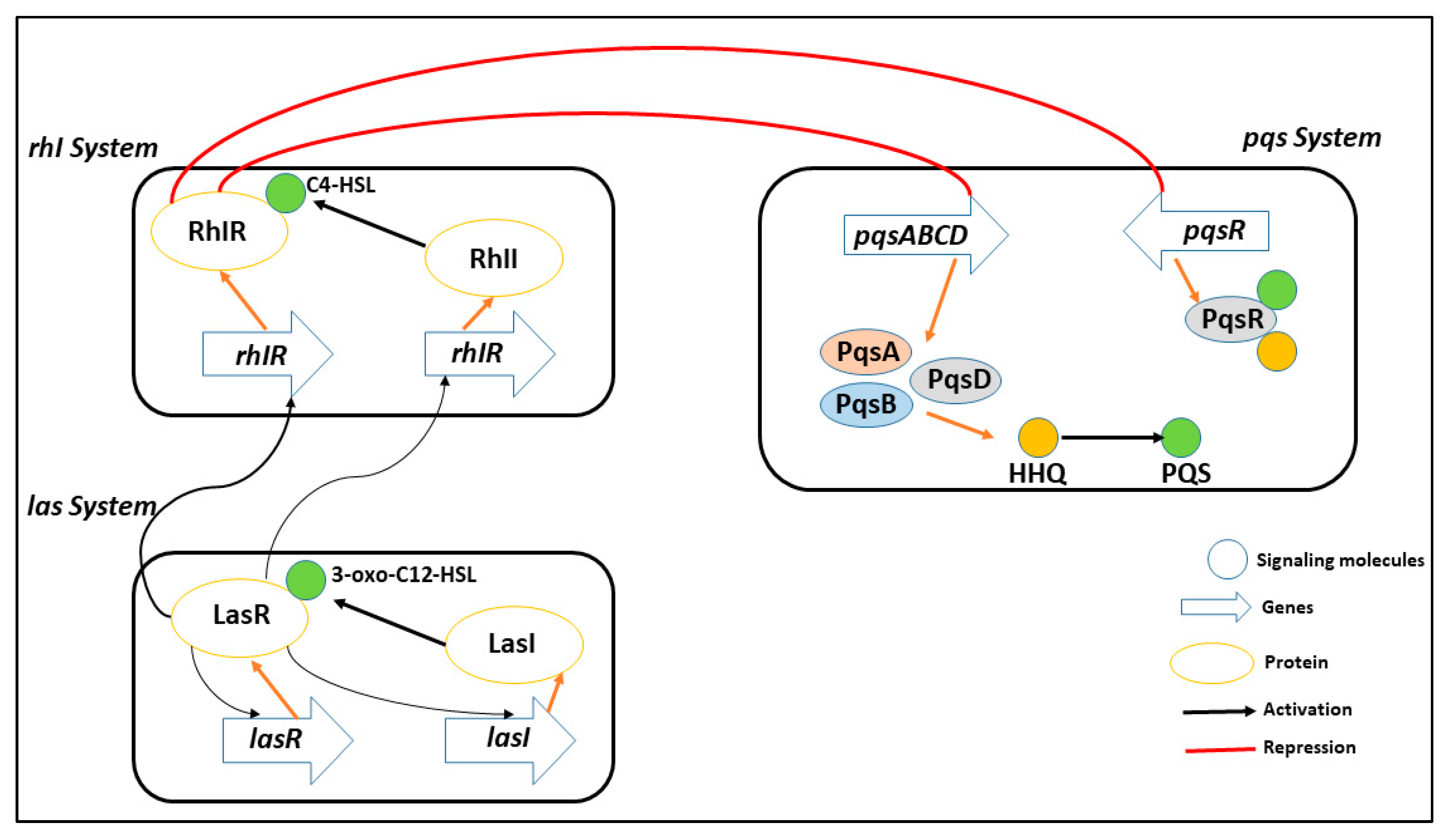 In Silico Identification of Lead Compounds for Pseudomonas Aeruginosa ...