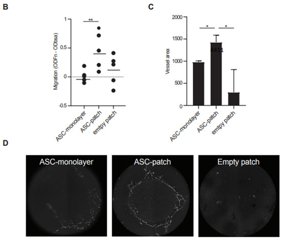 Adipose-Derived Stromal Cells within a Gelatin Matrix Acquire Enhanced ...