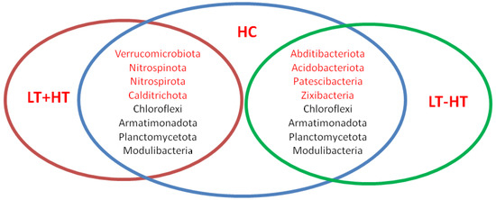 Oral Microbiota Signatures in the Pathogenesis of Euthyroid Hashimoto’s ...