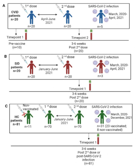 Specific Cellular and Humoral Immune Responses to the Neoantigen RBD of SARS-CoV-2 in Patients ...