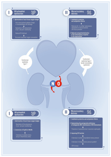 Nitric Oxide in Cardiac Surgery: A Review Article