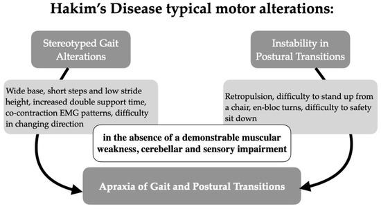 Gait Apraxia and Hakim’s Disease: A Historical Review