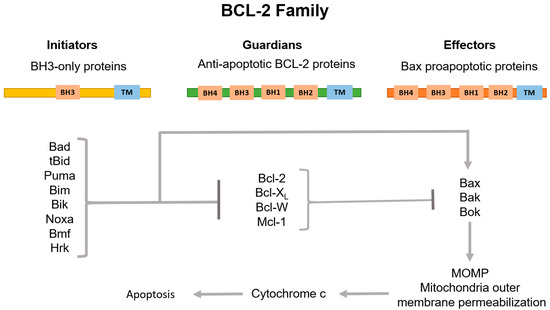 Multiple Actions of Telomerase Reverse Transcriptase in Cell Death Regulation