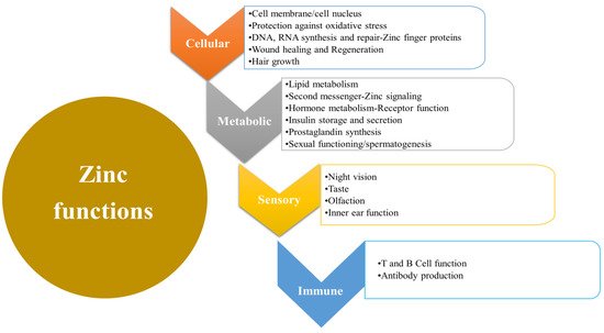 Biological Role of Zinc in Liver Cirrhosis: An Updated Review