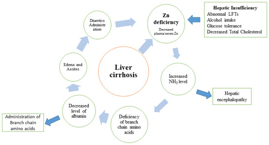 Biological Role of Zinc in Liver Cirrhosis: An Updated Review