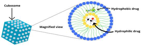 Biomedicines | Free Full-Text | Cubosomes in Drug Delivery—A ...