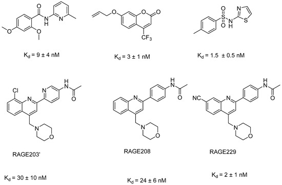 RAGE Inhibitors in Neurodegenerative Diseases