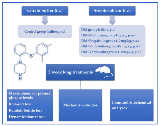 Biomedicines | Free Full-Text | Catecholaminergic and Cholinergic ...