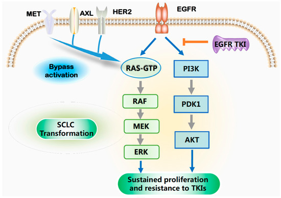 Making the Best Use of Available Weapons for the Inevitable Rivalry ...