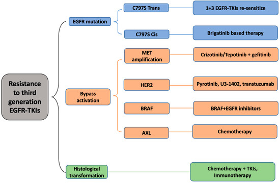 Making the Best Use of Available Weapons for the Inevitable Rivalry-Resistance to EGFR-TKIs