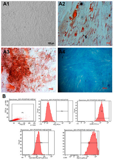 Encapsulation of Human Umbilical Cord Mesenchymal Stem Cells in LunaGel ...