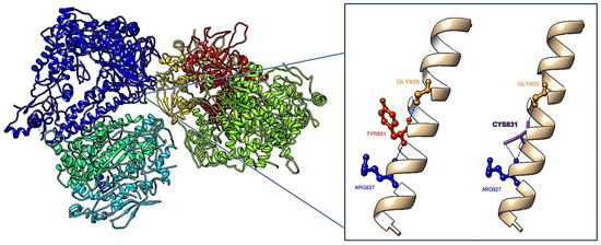 The Y831C Mutation of the POLG Gene in Dementia