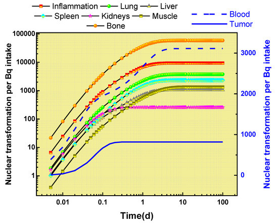 Exploring the Potential of Zirconium-89 in Diagnostic ...