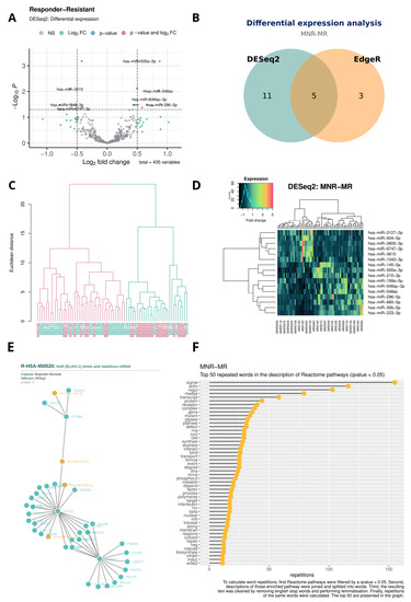 MyBrain-Seq: A Pipeline for MiRNA-Seq Data Analysis in Neuropsychiatric ...