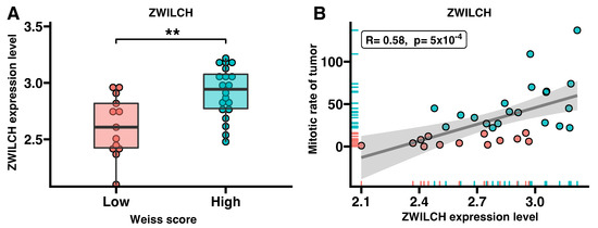 The Enhanced Expression of ZWILCH Predicts Poor Survival of ...