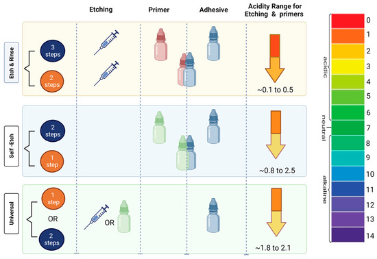 Degradation and Failure Phenomena at the Dentin Bonding Interface