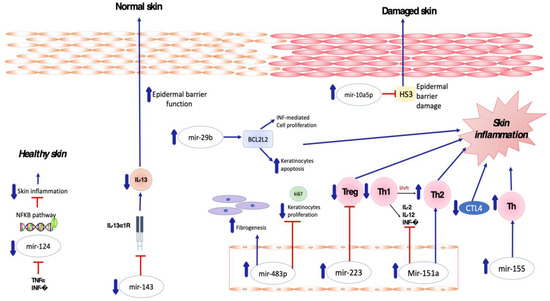 miRNAs’ Cross-Involvement in Skin Allergies: A New Horizon for the ...